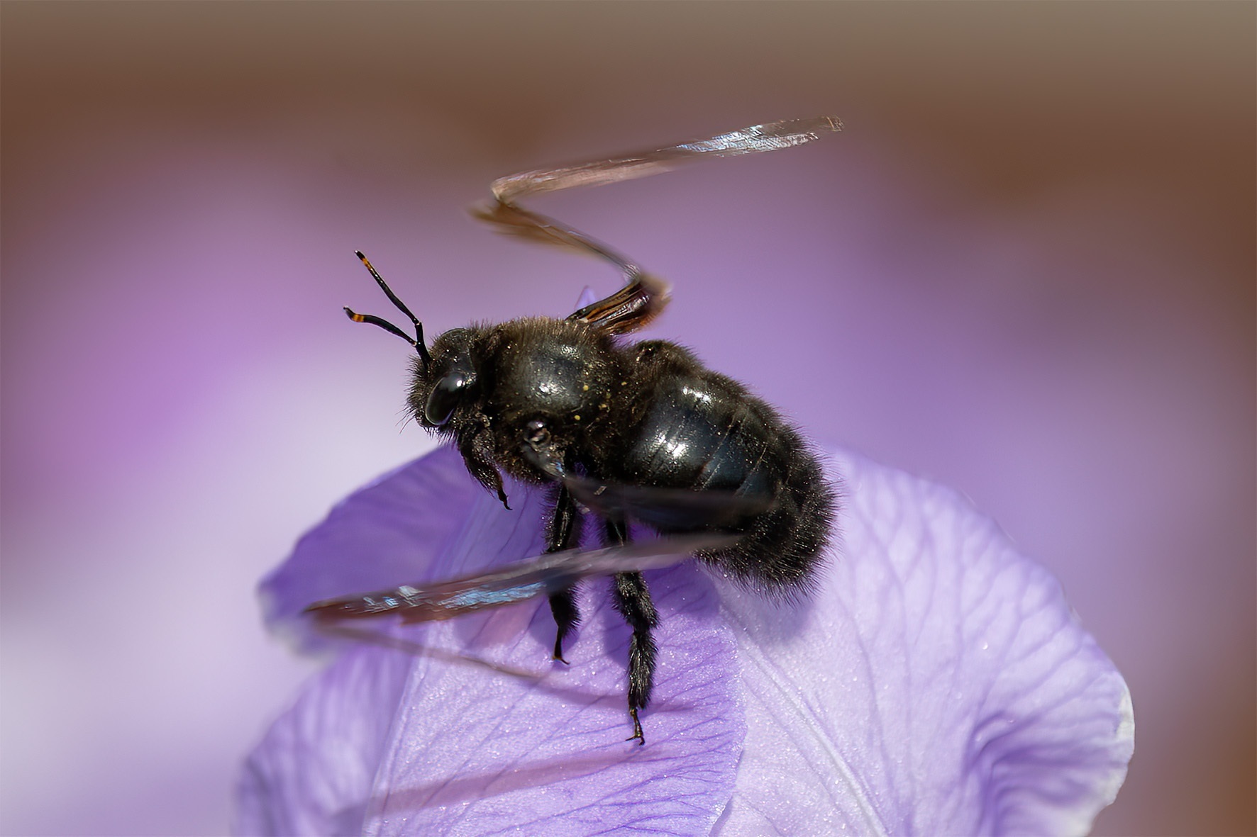 Canon EOS R7 und der Rolling Shutter - Seite 2 - Canon EOS R APS-C ...