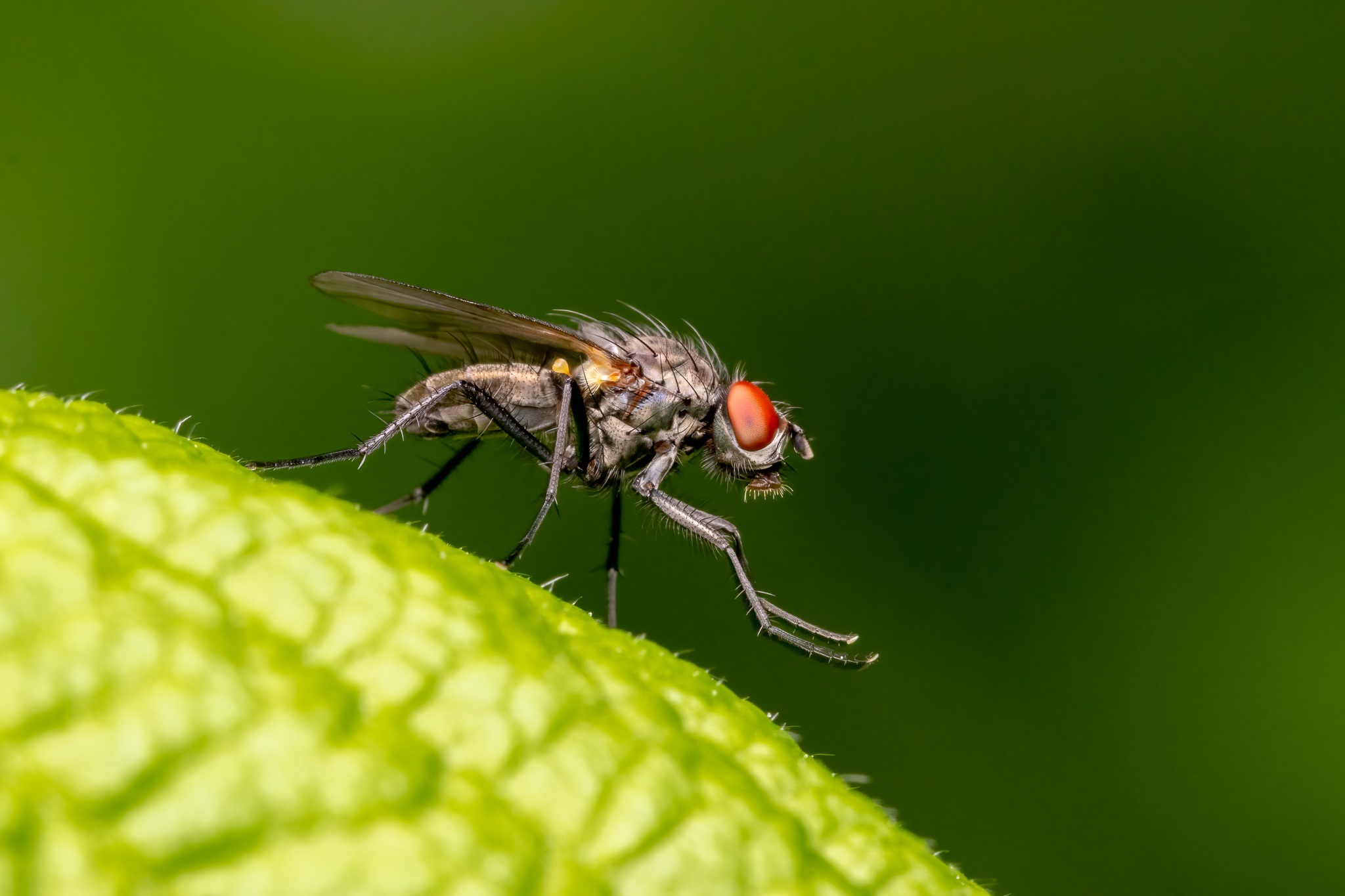 Beispielbilder mit EF Objektiven von Canon, Sigma, Tamron und Tokina ...