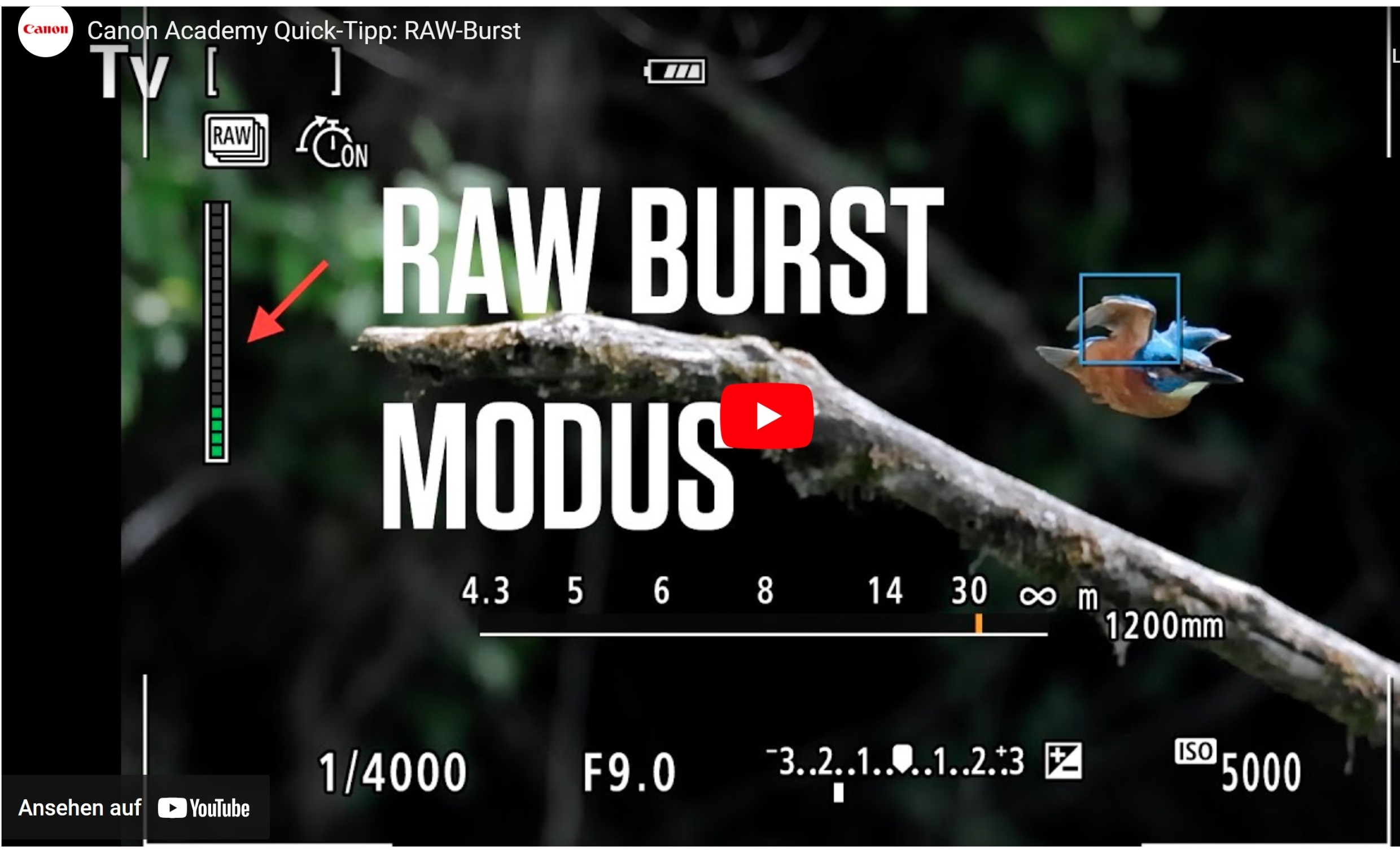 EOS R5 M2 - Canon EOS R Vollformat Kameras - Canon EOS R Forum
